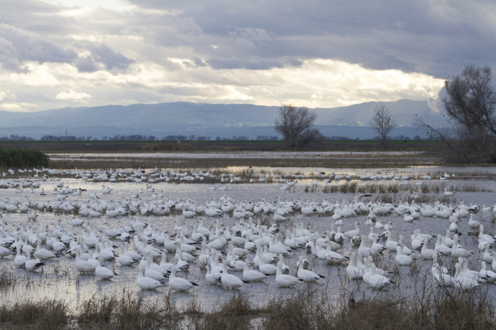 Sunset at the Merced National Wildlife Refuge