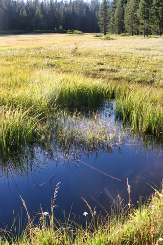 Westfall Meadows Hiking Guide